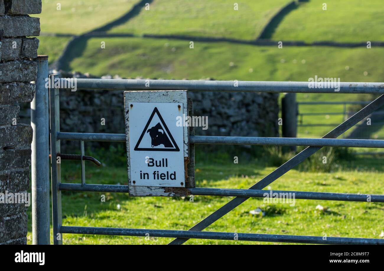 Bull in Field sign, attached to a galvansied farm gate in Swaledale ...