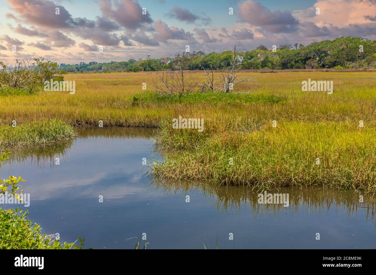 Saltwater marsh hi-res stock photography and images - Alamy