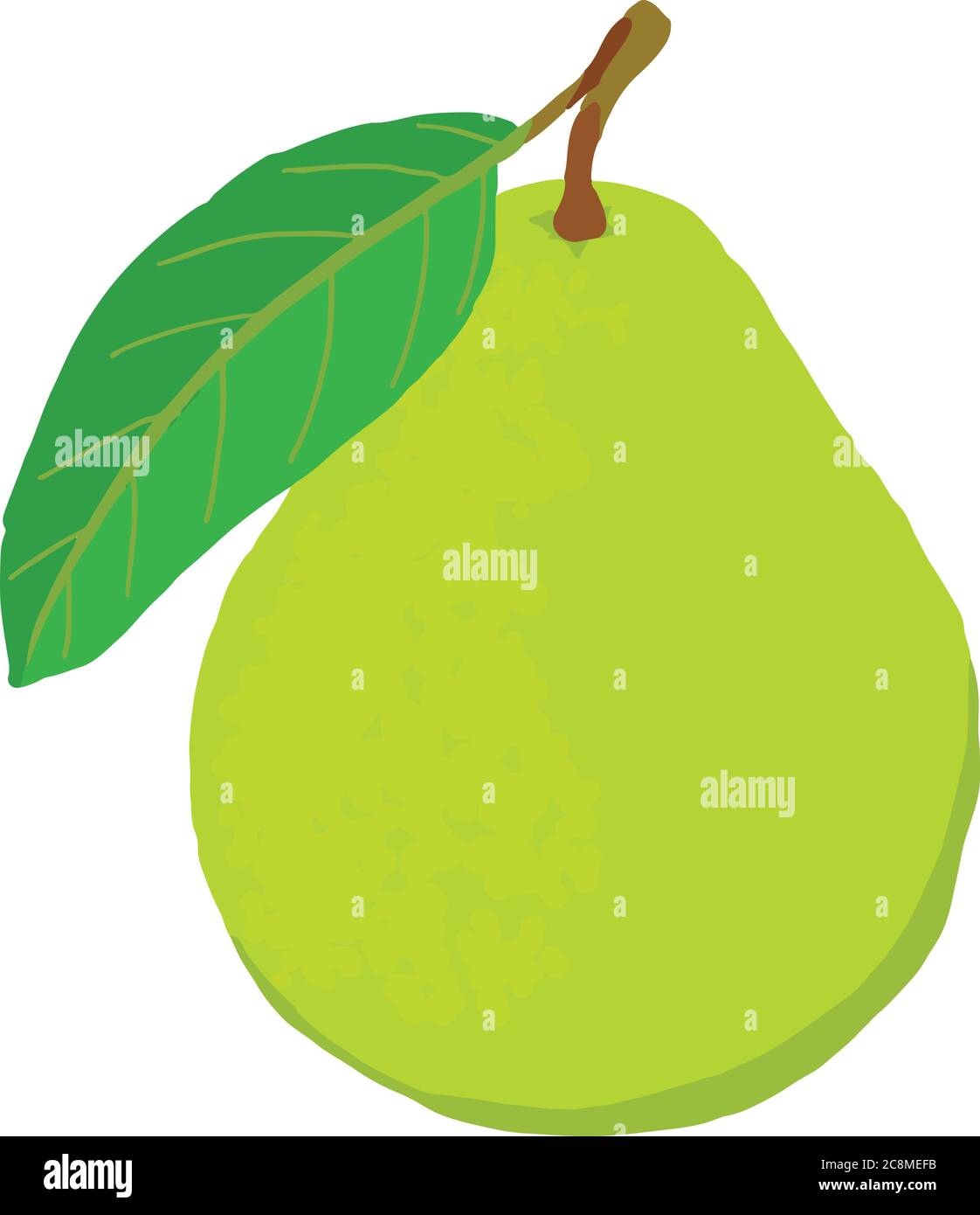 Whole fresh guava icon. Isometric of whole fresh guava vector icon for ...