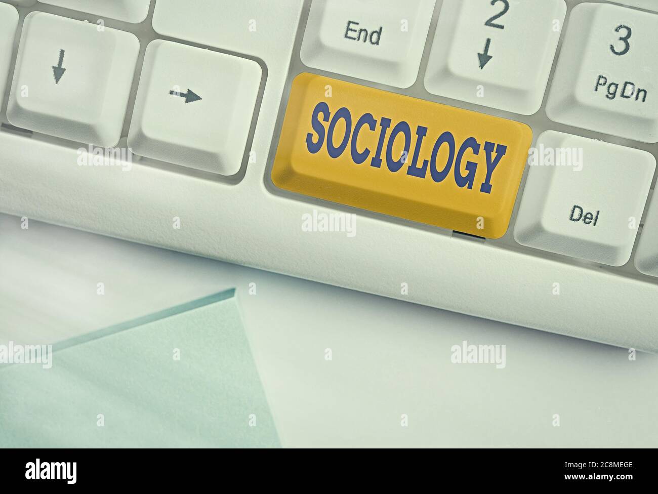 Text sign showing Sociology. Business photo text scientific analysis of ...