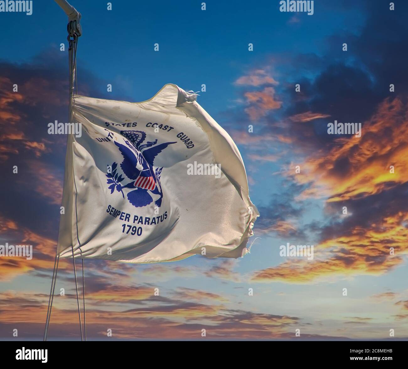 Indian Coast Guard Flag