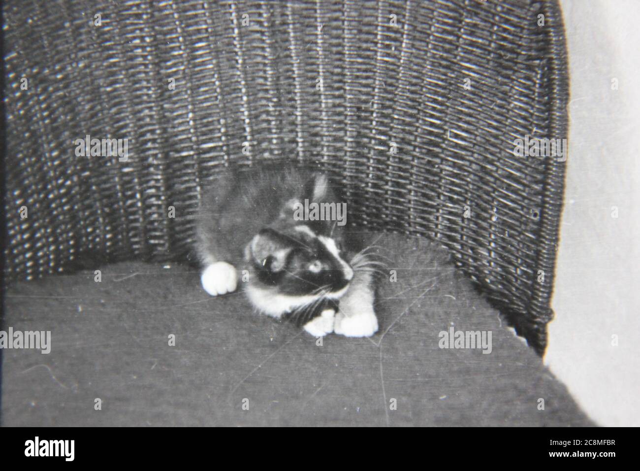 Fine 70s vintage black and white lifestyle photography of a Hemingway ...