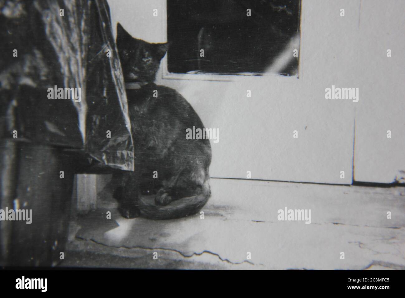 Fine 70s vintage black and white lifestyle photography of a Hemingway ...