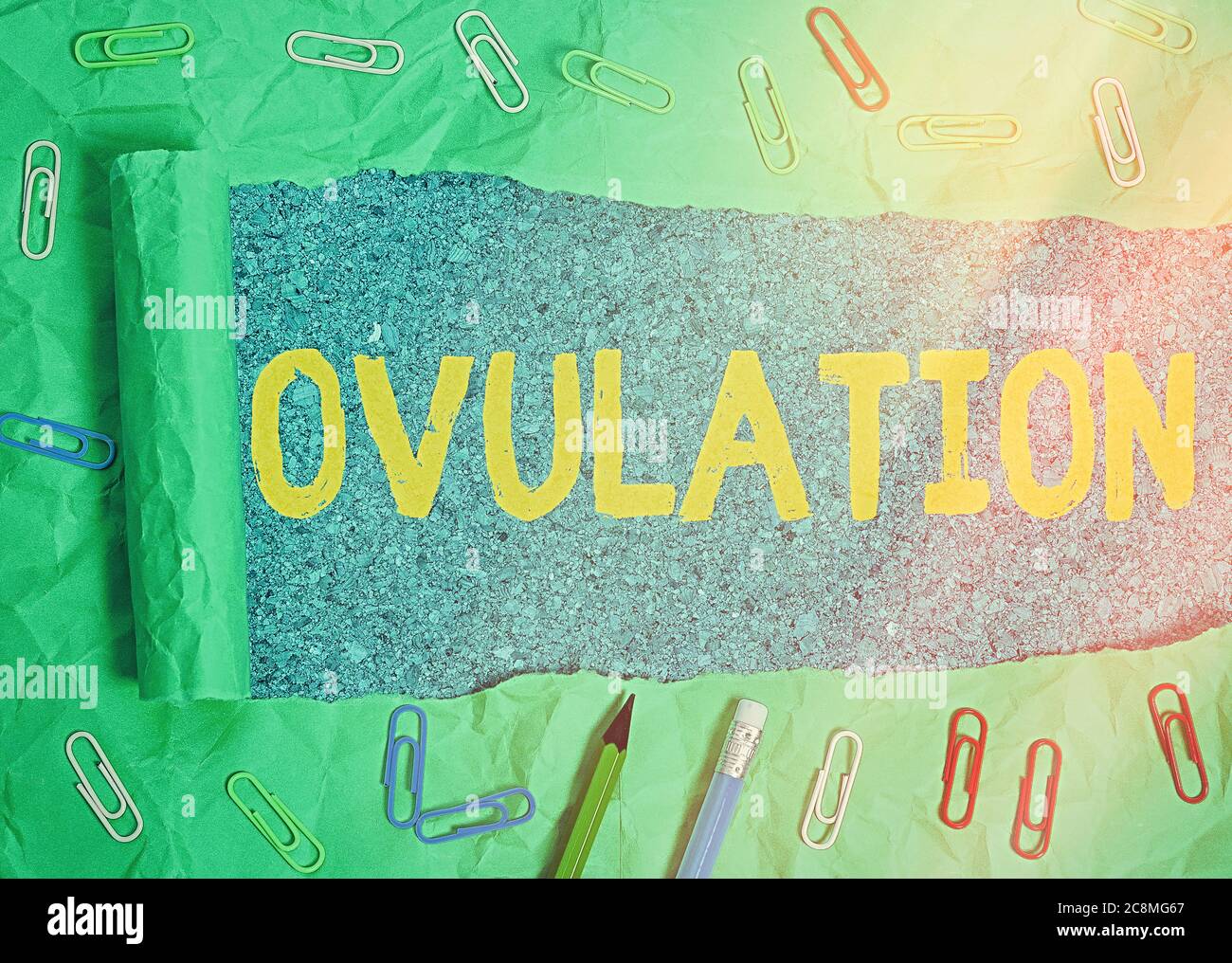 Text sign showing Ovulation. Business photo text the discharge of a ...