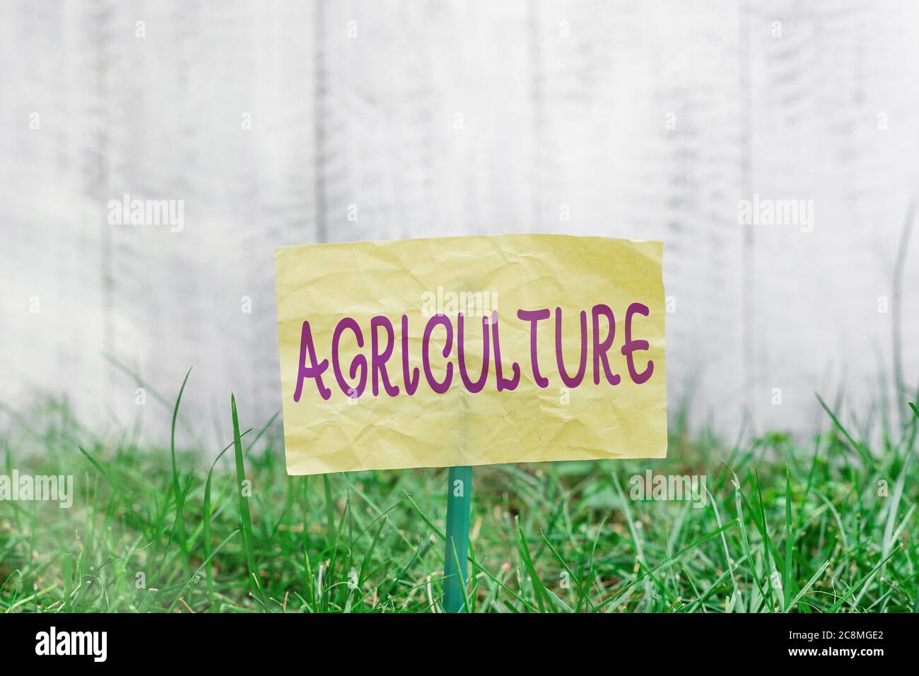 Handwriting text writing Agriculture. Conceptual photo practice ...