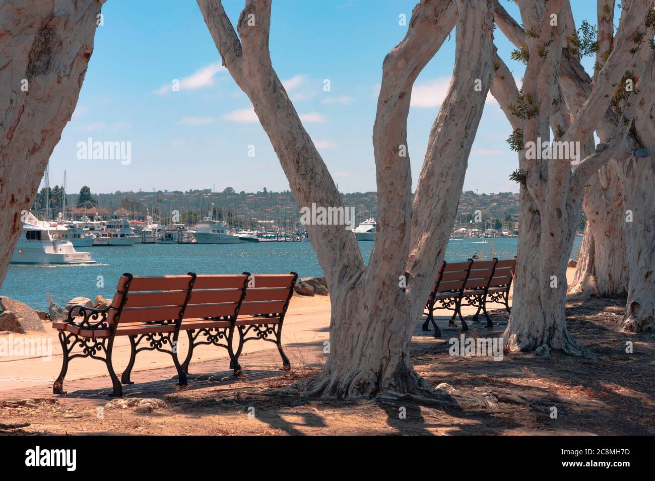 Destination San Diego park bench water view of boat harbor and Point ...
