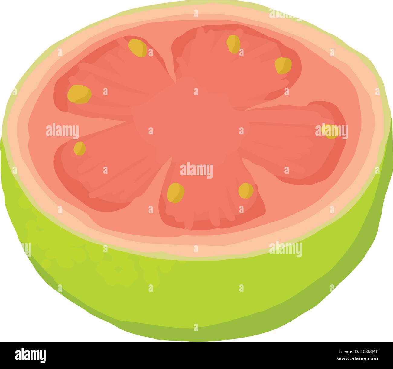 Half guava icon. Isometric of half guava vector icon for web design ...