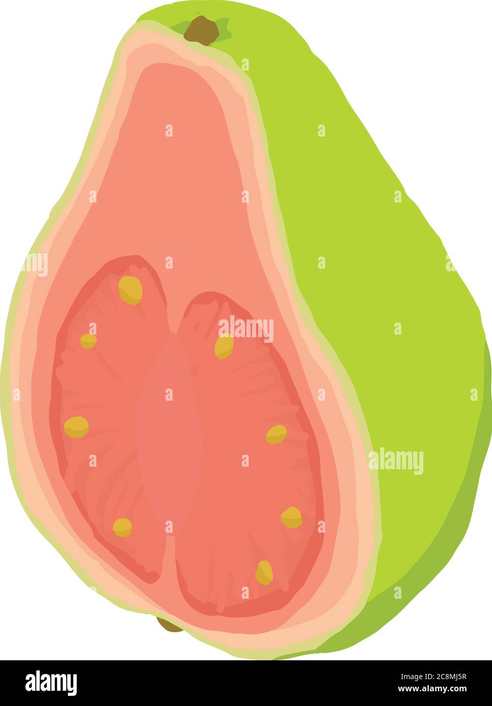 Tropical guava icon. Isometric of tropical guava vector icon for web ...