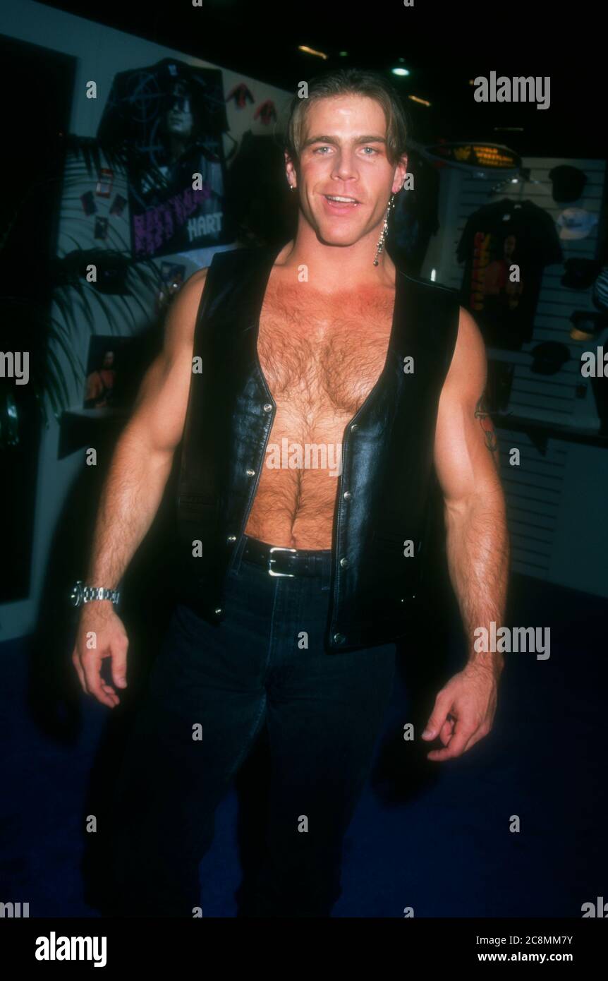 Shawn Michaels 2001