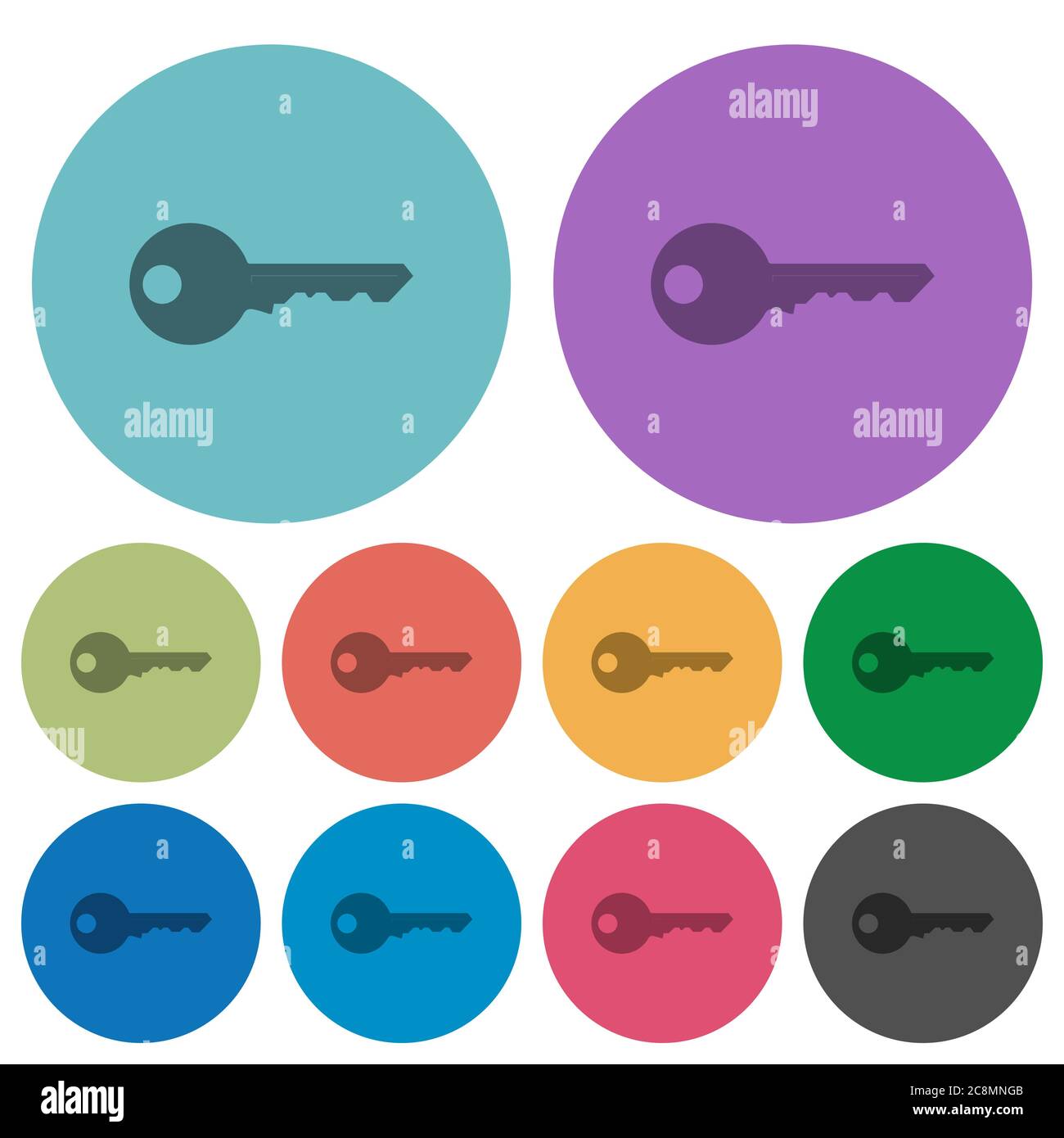 Color key flat icon set on round background Stock Vector Image & Art ...