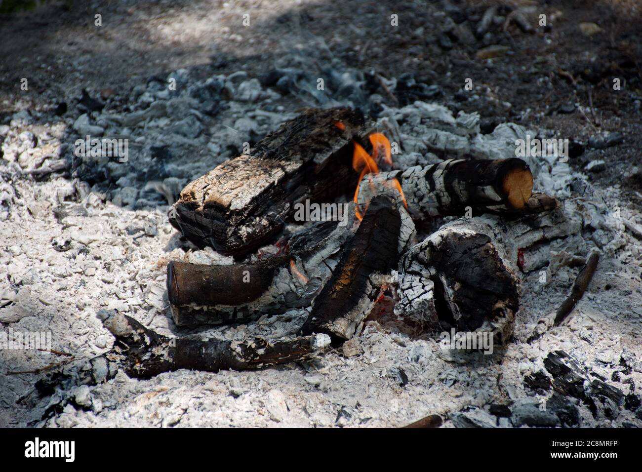 Lumber camp hi-res stock photography and images - Alamy