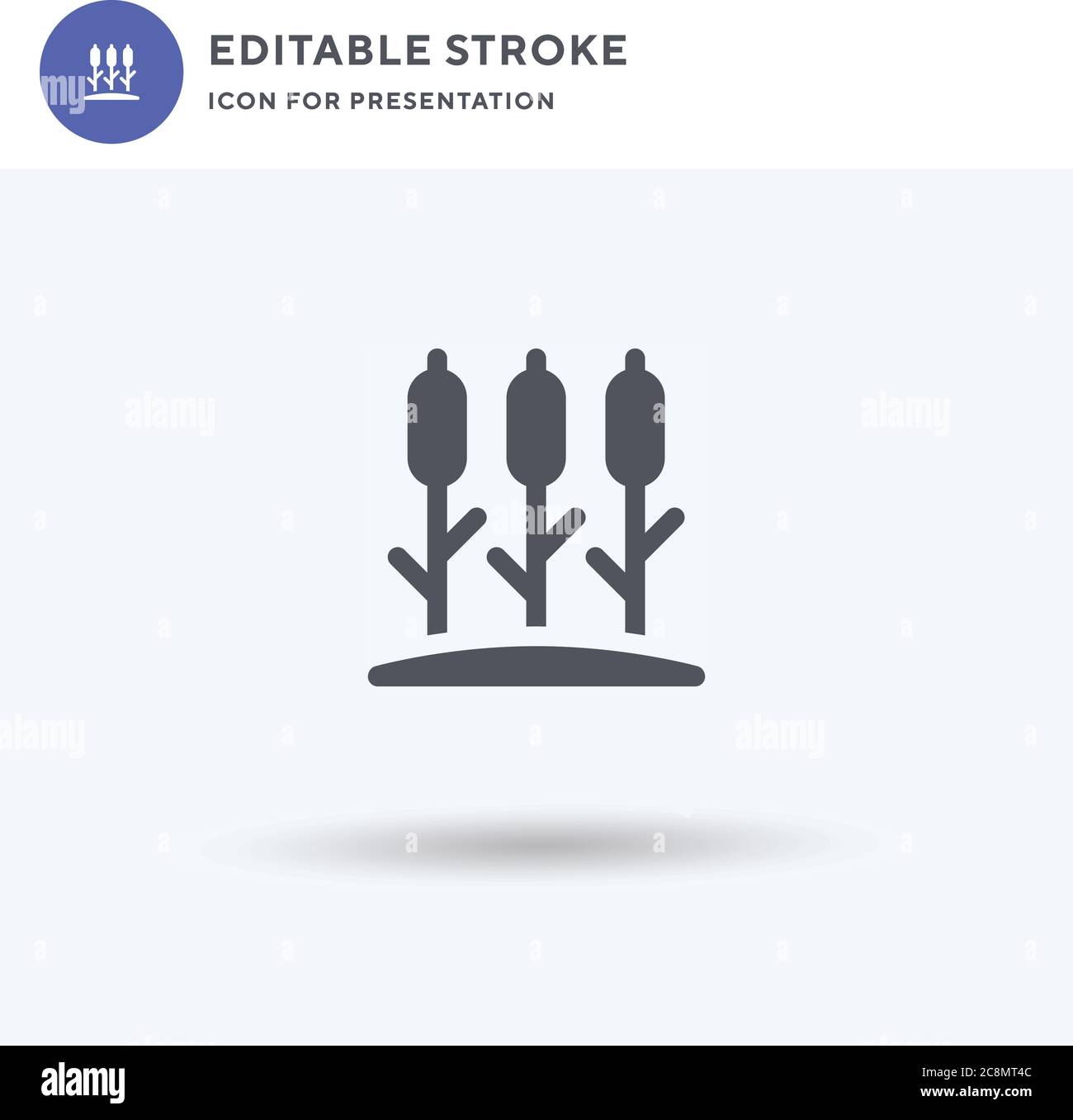 Bog rush Stock Vector Images - Alamy