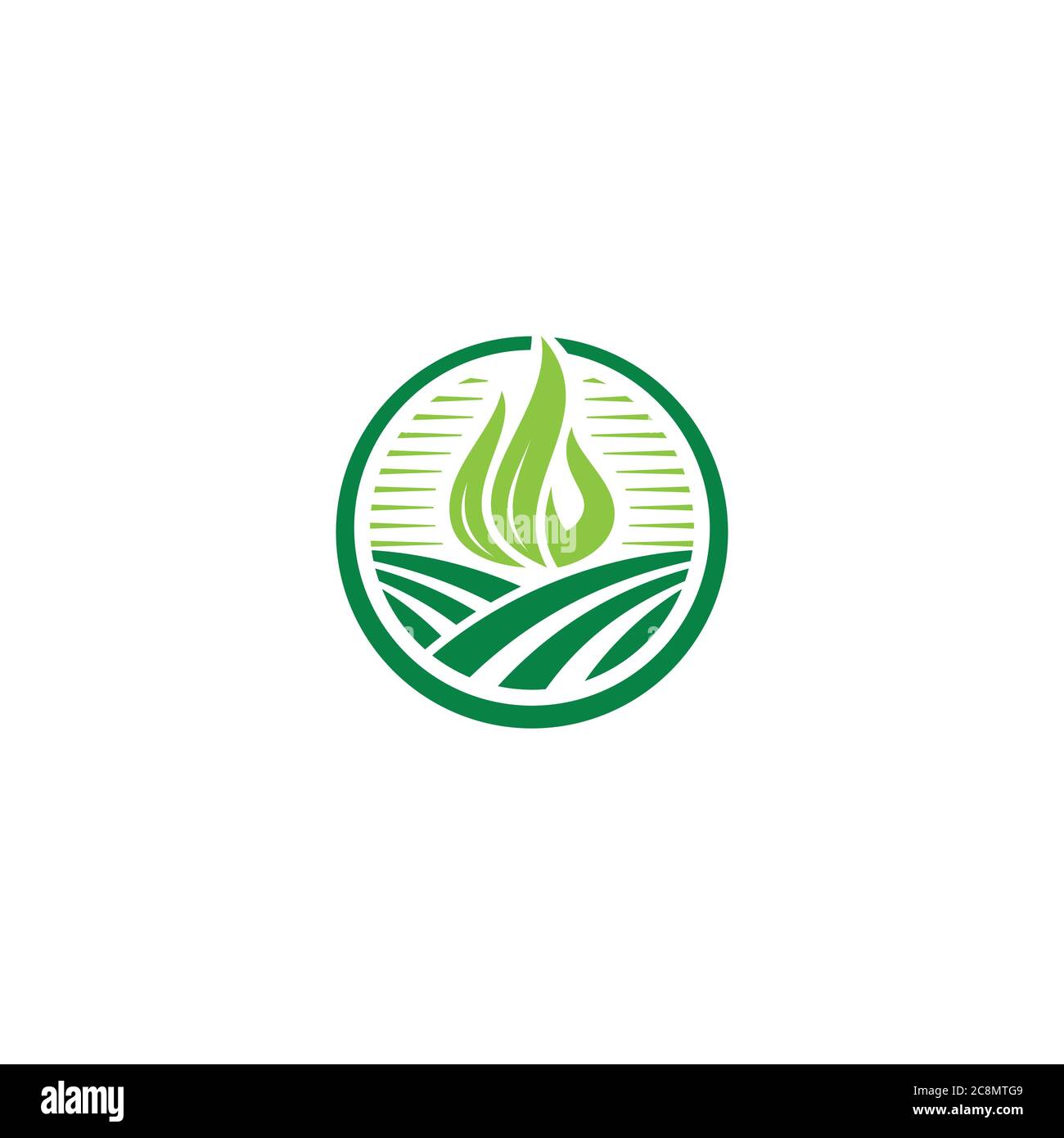 Green leaf fire flame Cut Out Stock Images & Pictures - Alamy