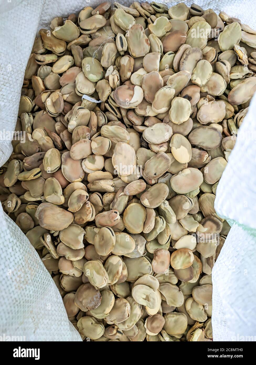 green bean as special product from agriculture Stock Photo - Alamy