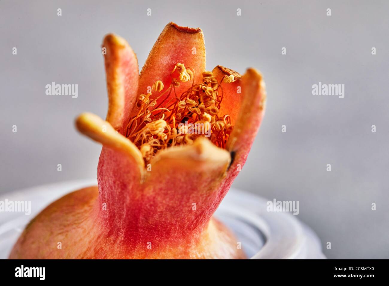Mini pomegranate macro photography of internal vegetation Stock Photo ...