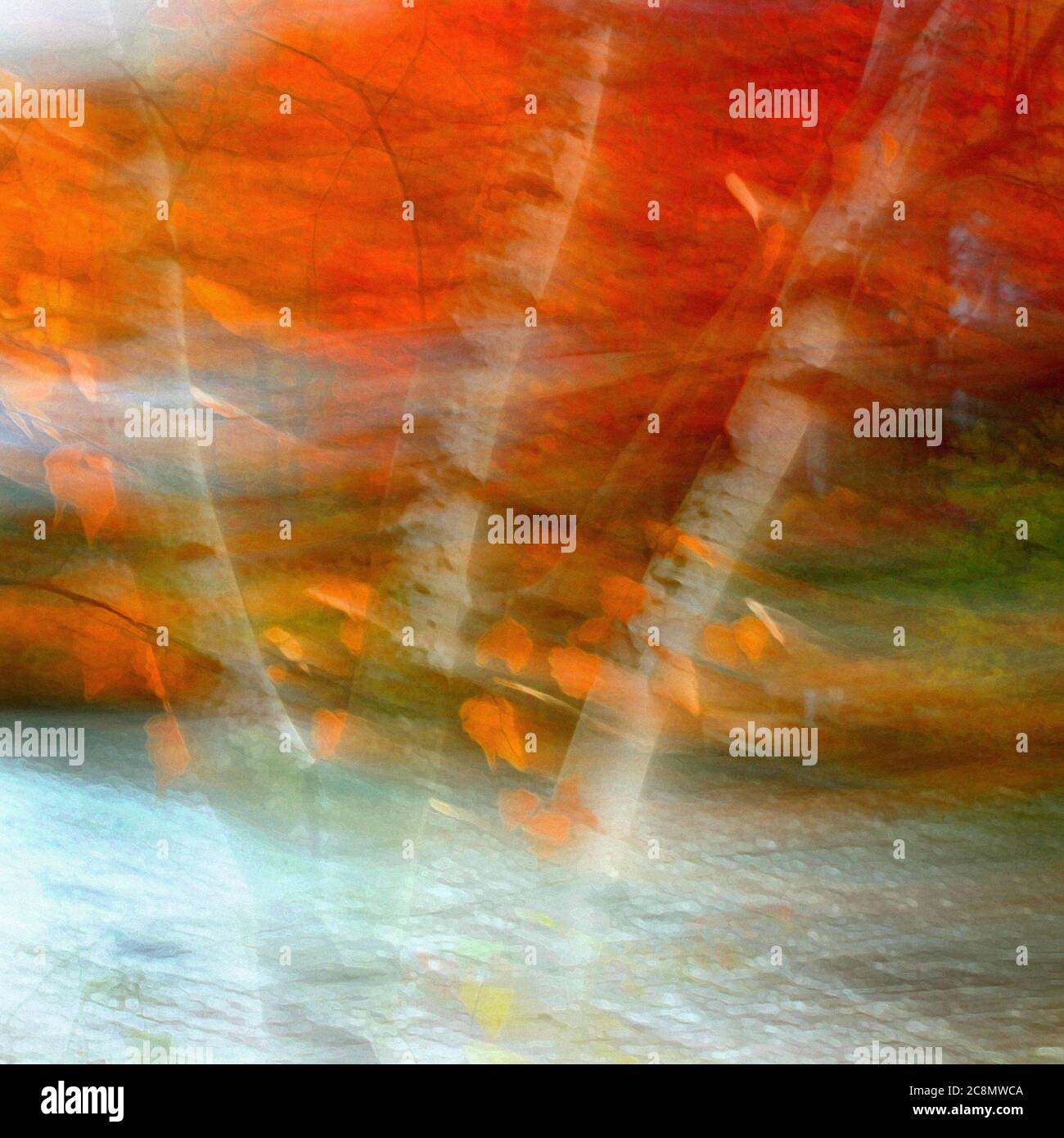 Blowing on a windy breezy day hi-res stock photography and images - Alamy