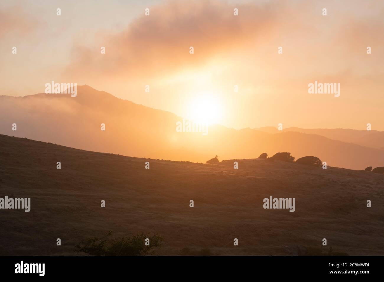 The trail to the top of Ring Mountain in Marin County, CA is a ...