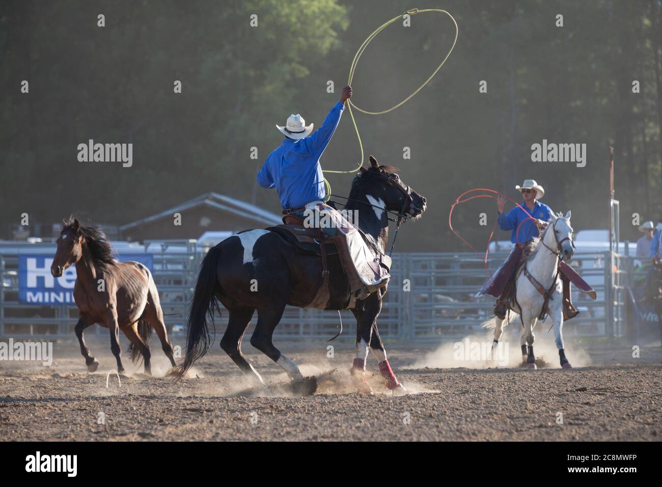 Cowboys compete in the team roping event at the Kootenai River Stampede ...