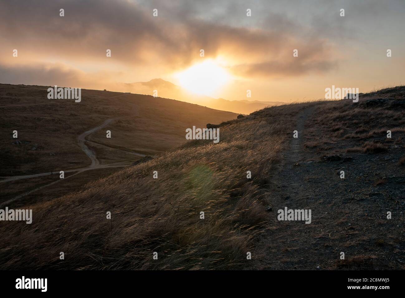 The trail to the top of Ring Mountain in Marin County, CA is a ...
