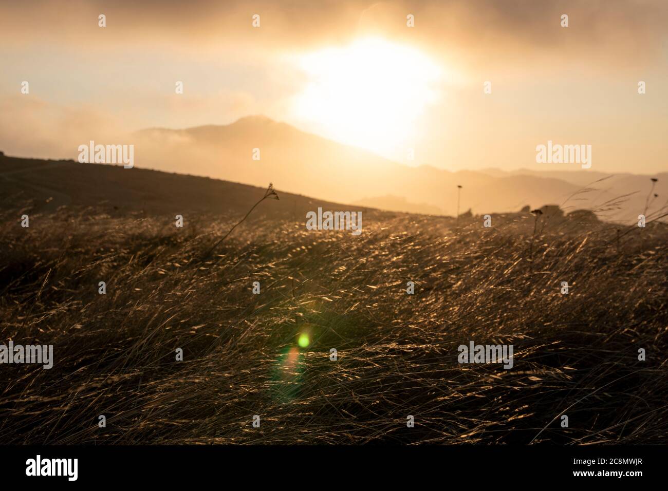 The trail to the top of Ring Mountain in Marin County, CA is a ...