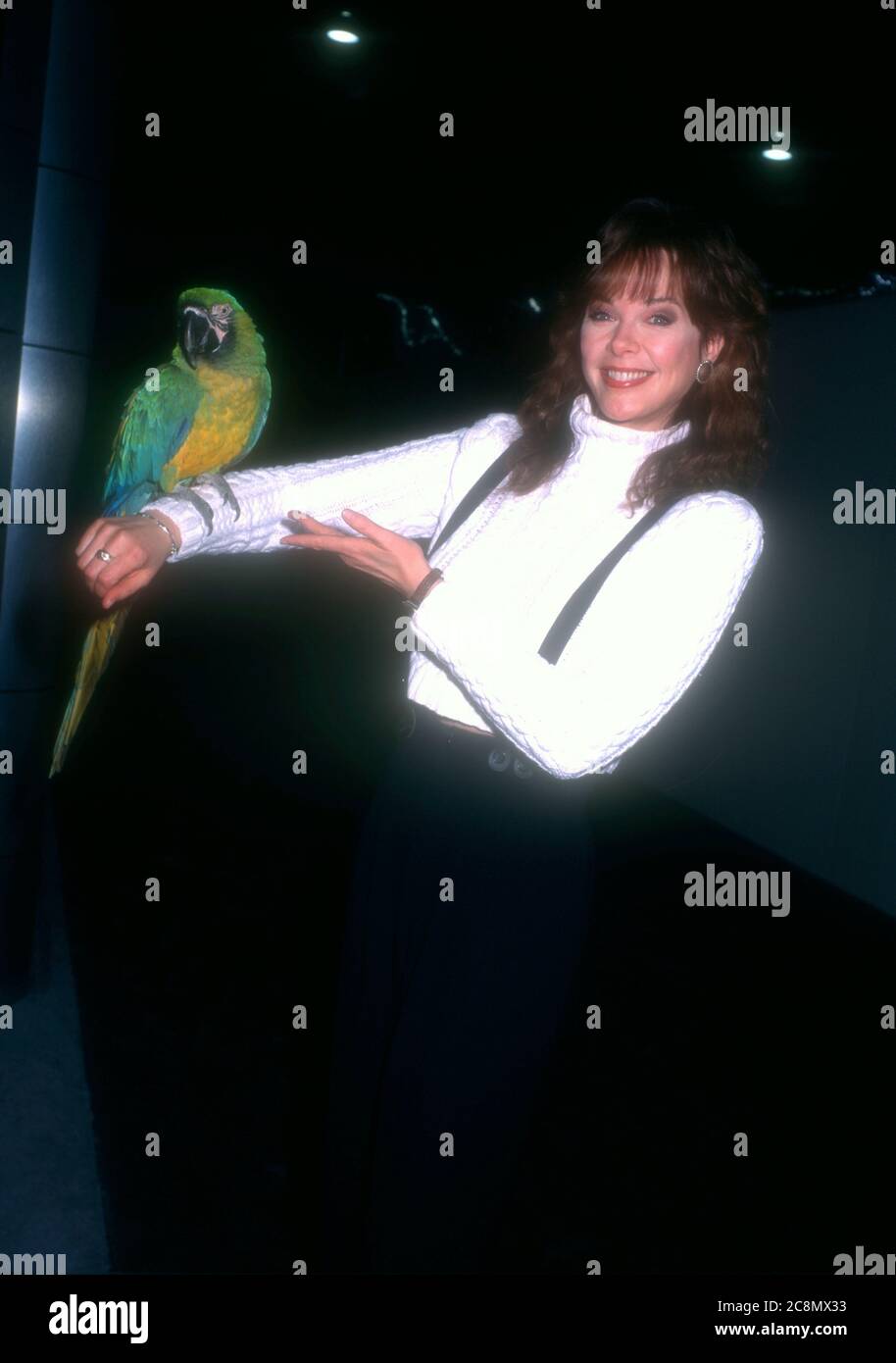 Las vegas 1996 hi-res stock photography and images - Alamy