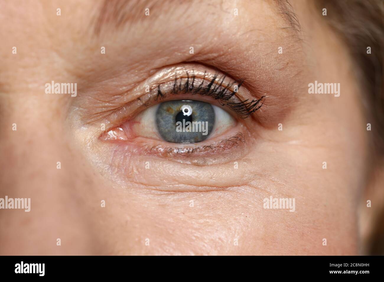 Blue eye of elderly woman look straight Stock Photo - Alamy
