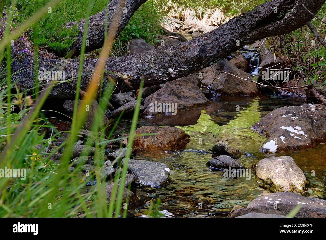 Closeup stream flowing on rocks hi-res stock photography and images - Alamy