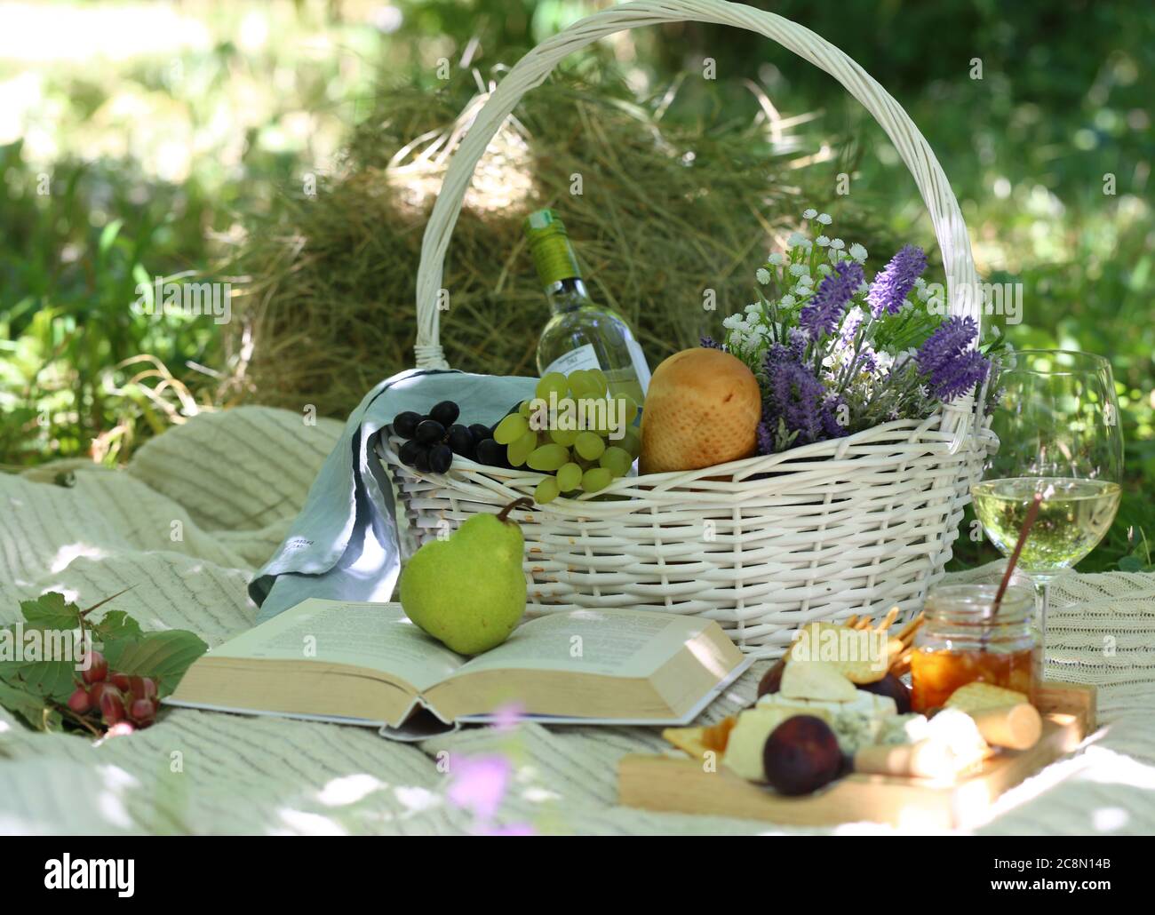 food picnic in nature on green grass Stock Photo - Alamy