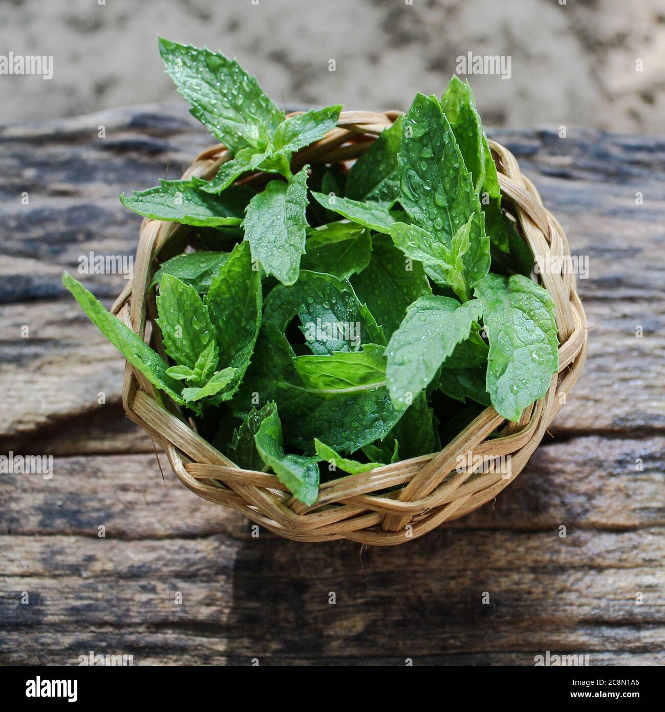 Still life of leaves hi-res stock photography and images - Alamy