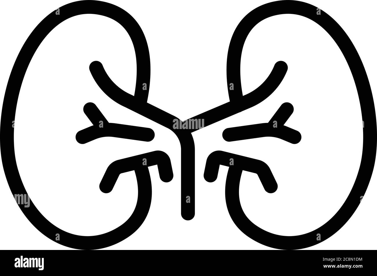 Kid kidney icon, outline style Stock Vector Image & Art - Alamy