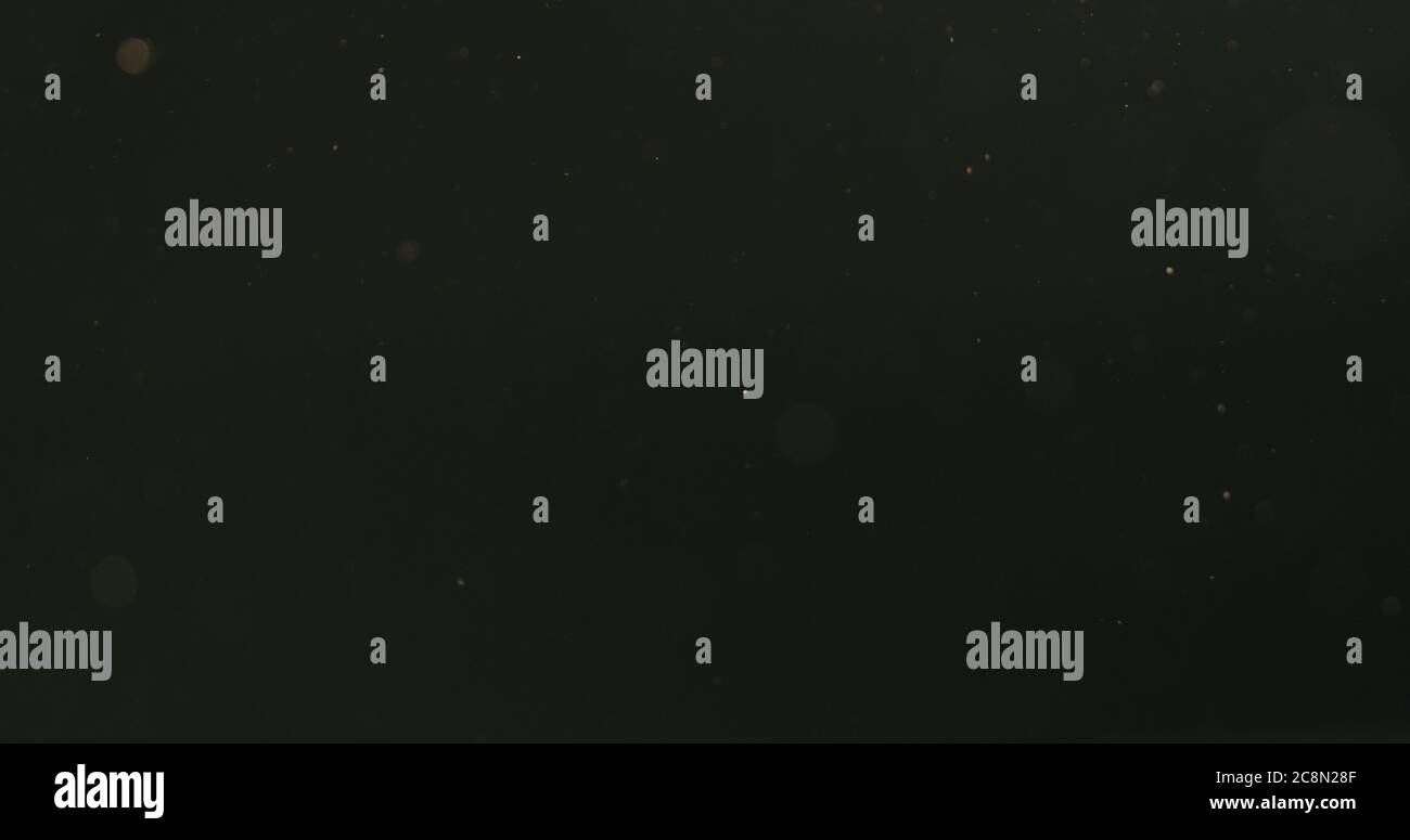 real dust particles floating in air over black background with sunset ...