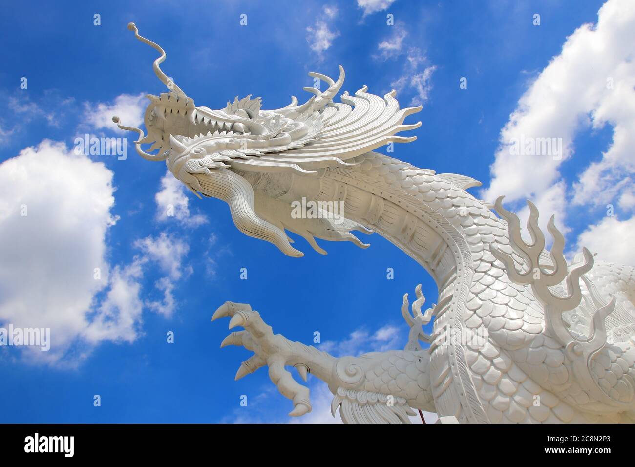 White Chinese Dragon