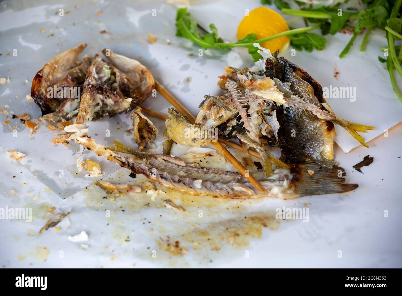 top viewe eaten fish and skeleton background Stock Photo - Alamy