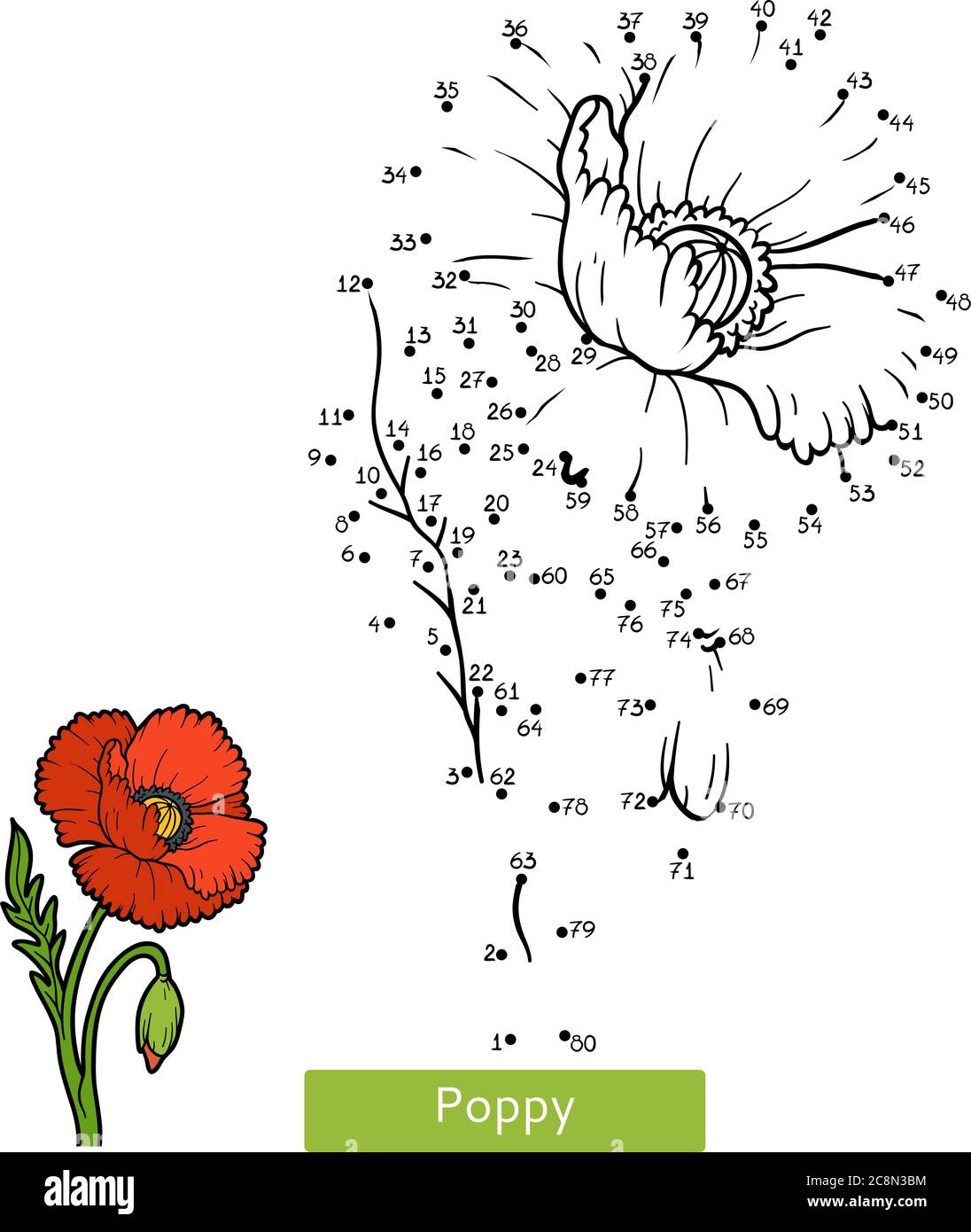Numbers game, education dot to dot game for children, flower Poppy ...