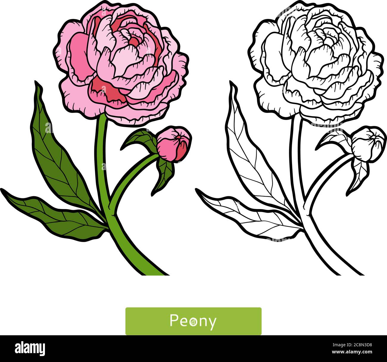 Coloring book for children, flower Peony Stock Vector Image & Art - Alamy