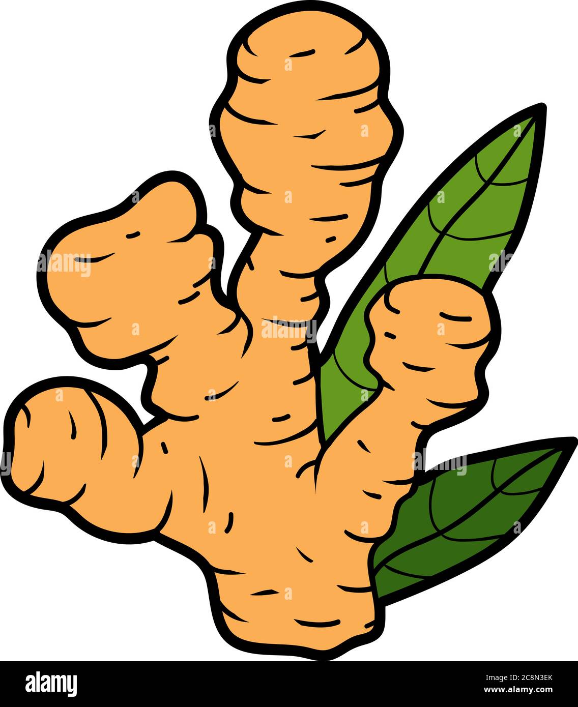 Vector color illustration, colorful vegetables, Ginger Stock Vector ...