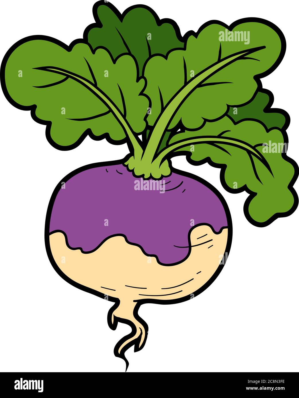 Vector color illustration, colorful vegetables, turnip Stock Vector ...