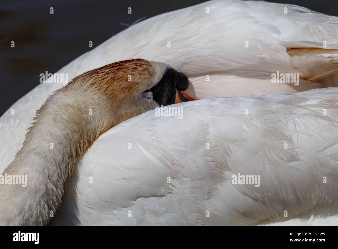 Backwell, somerset hi-res stock photography and images - Alamy