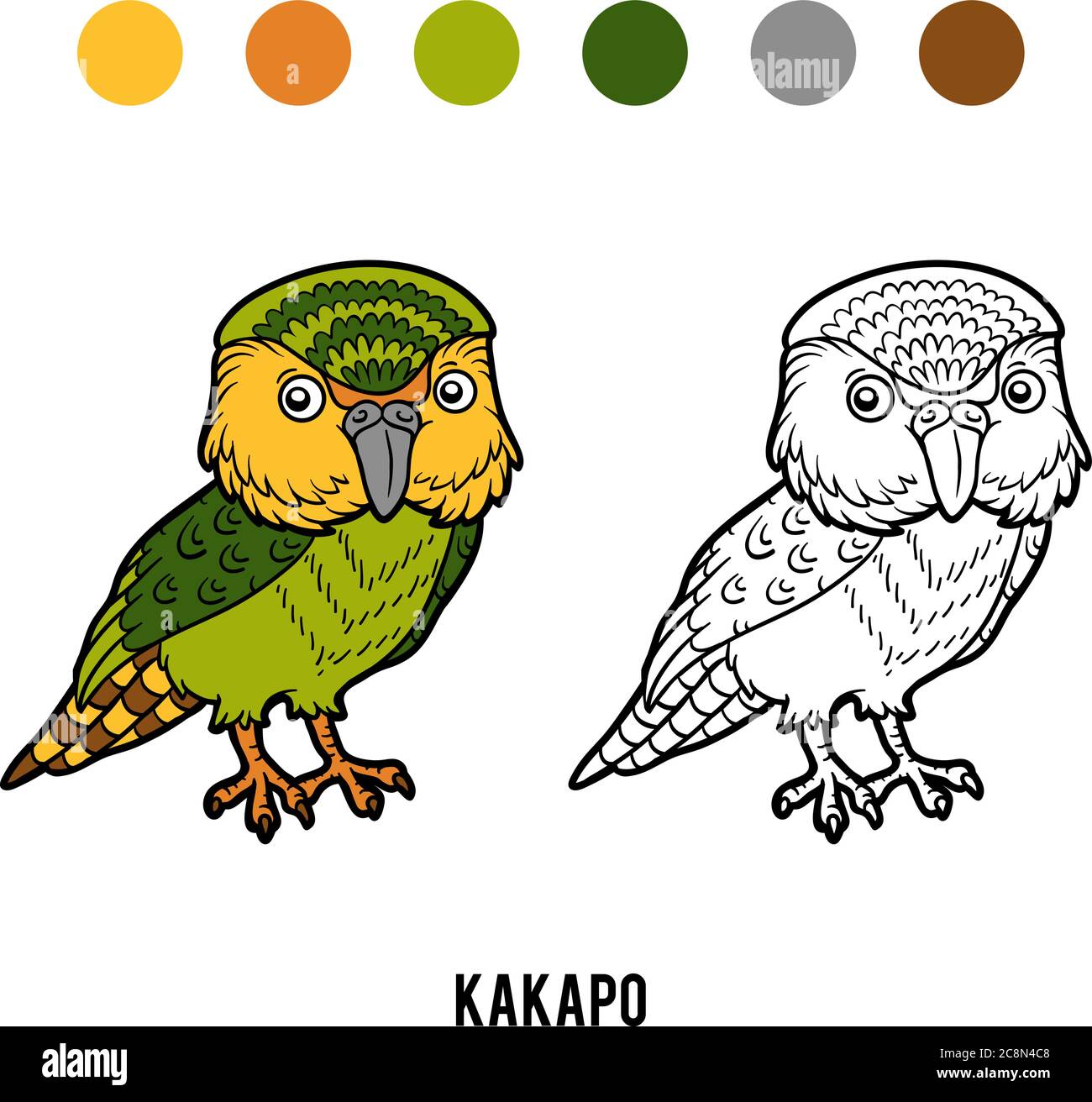 Painting parrot Stock Vector Images - Alamy