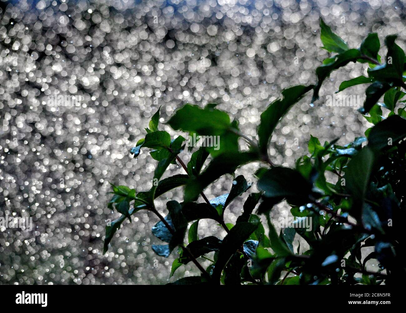 flying waterdrops against the sunrays on a dark background image Stock ...