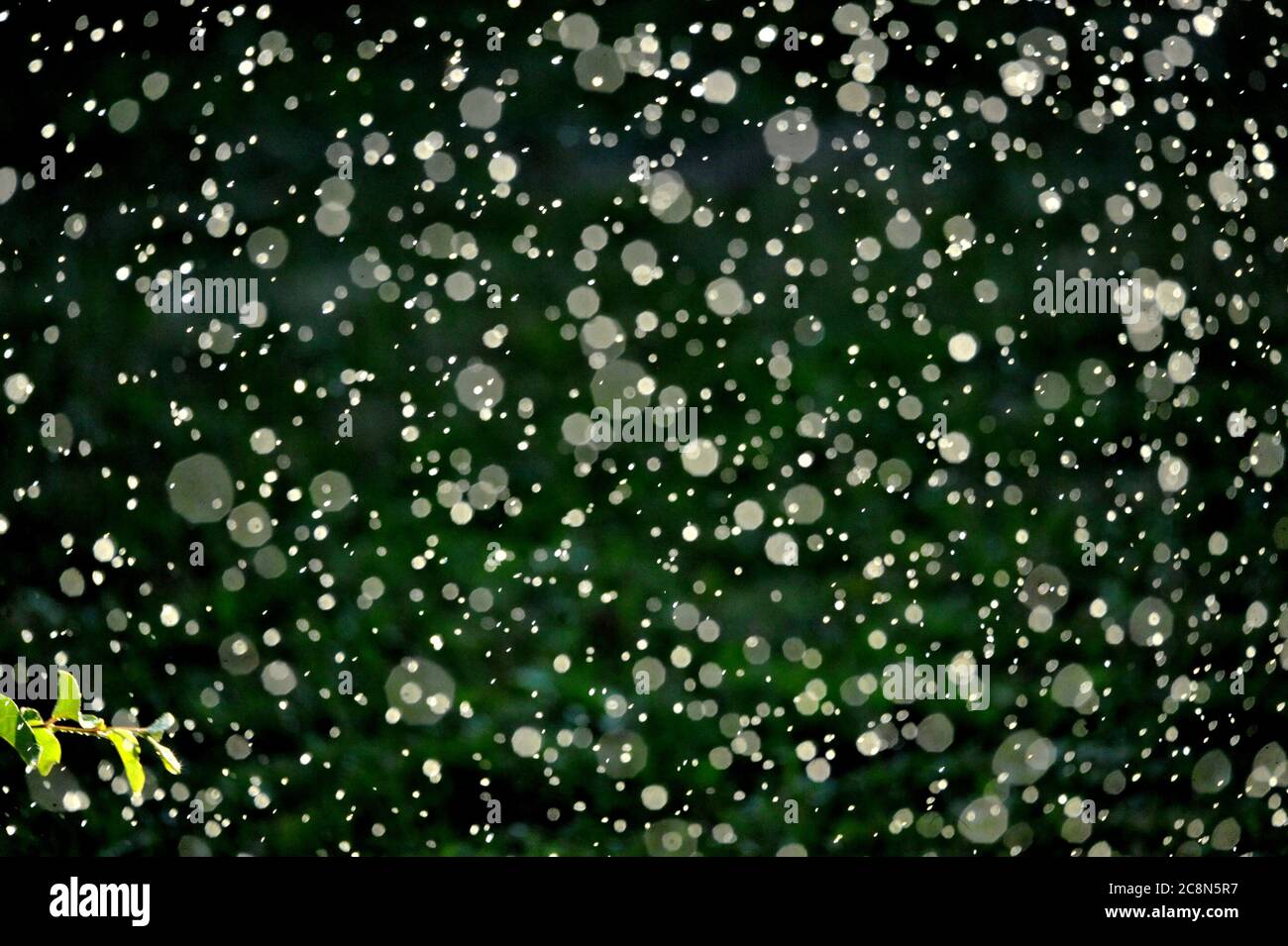 flying waterdrops against the sunrays on a dark background image Stock ...