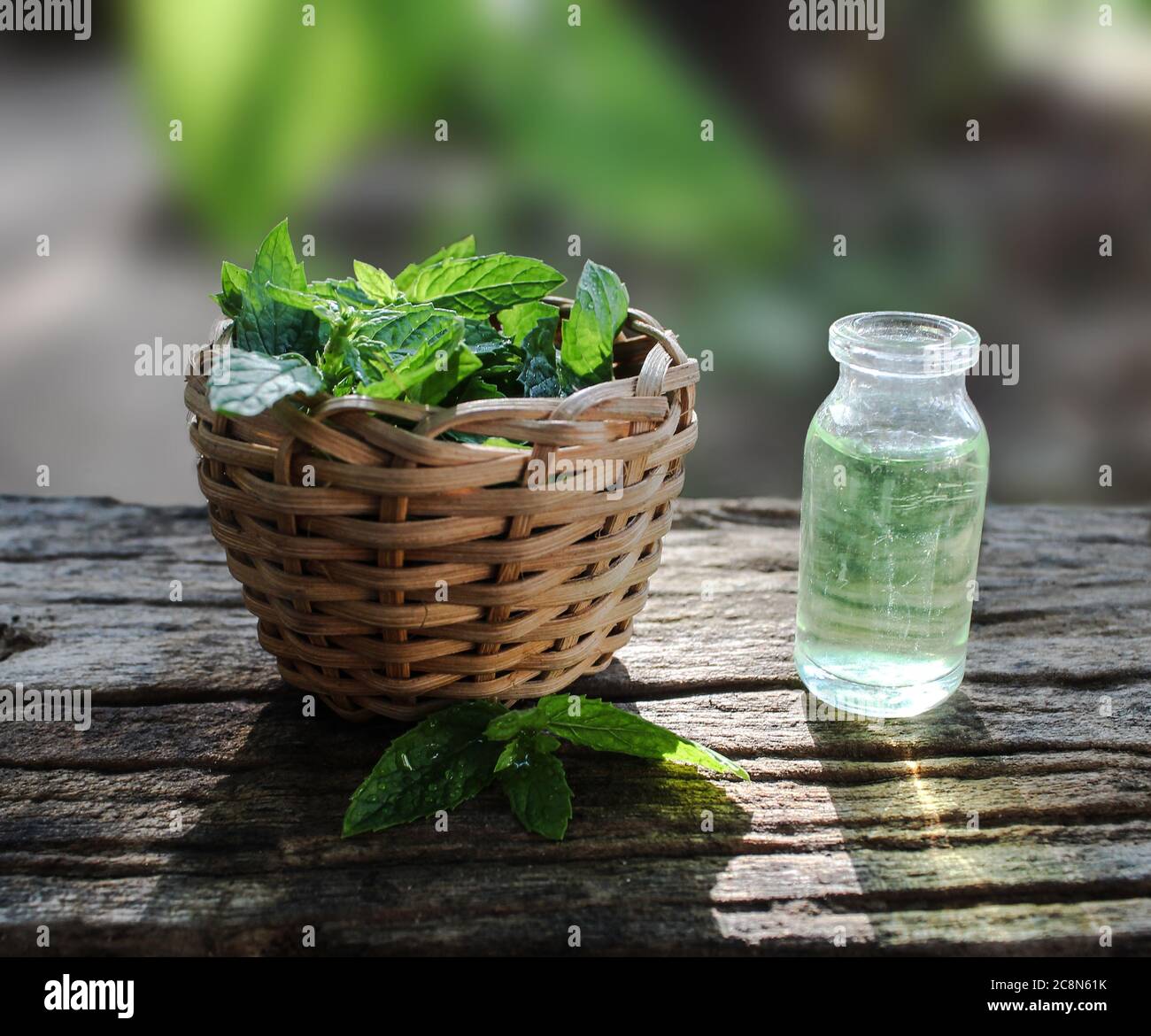 peppermint leaves and peppermint oil in a small jar closeup Stock Photo ...