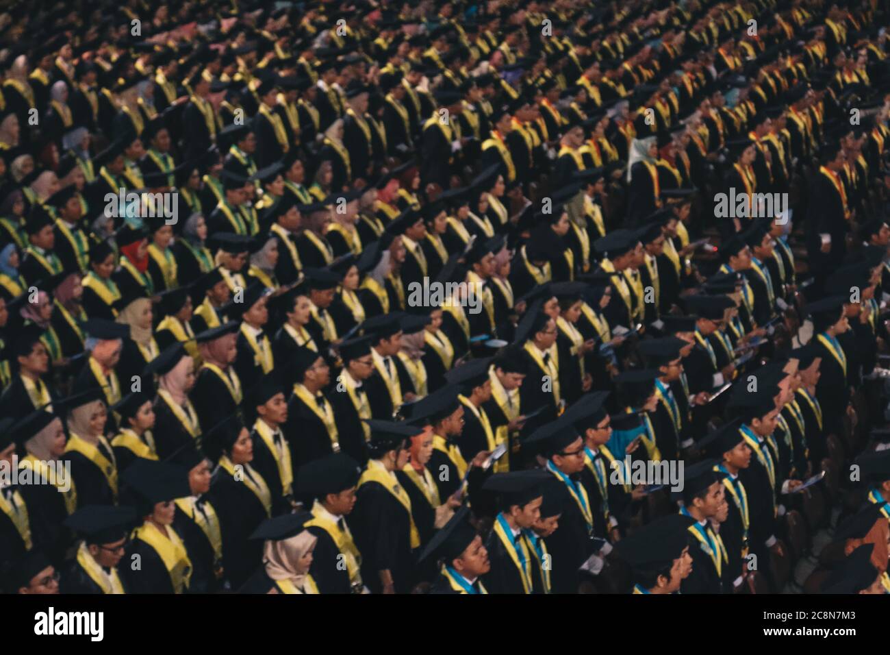 Top view of group of university graduates in black gowns lines up for ...