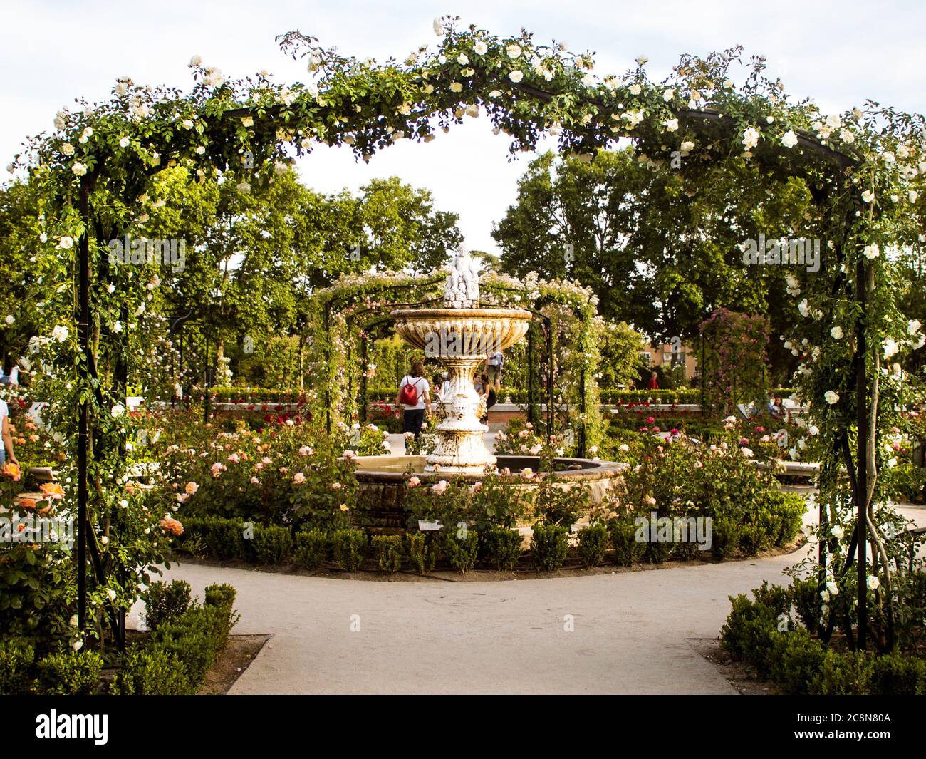 Fountain in the garden with arches covered in blossomed white roses ...