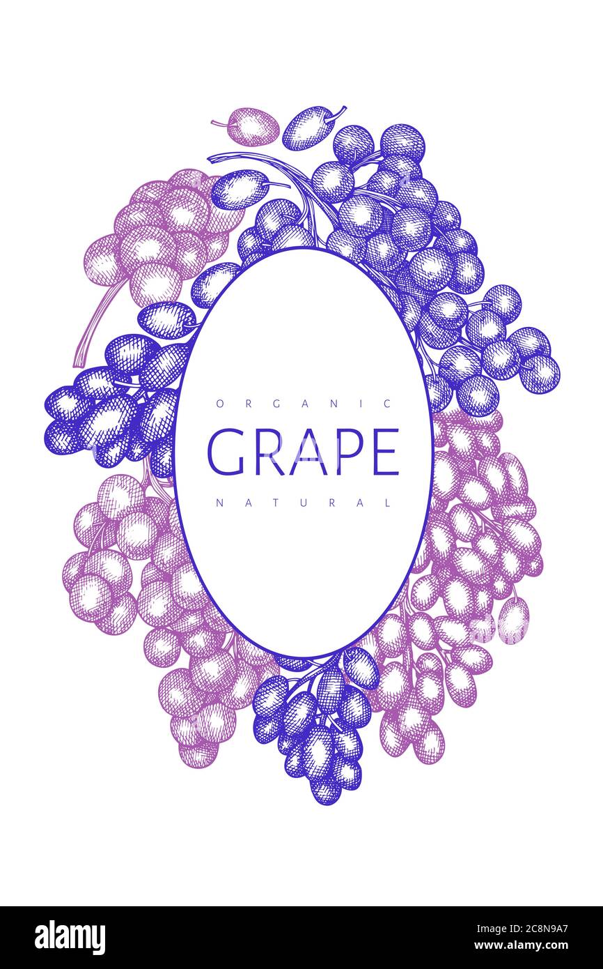 Grape design template. Hand drawn vector grape berry illustration ...