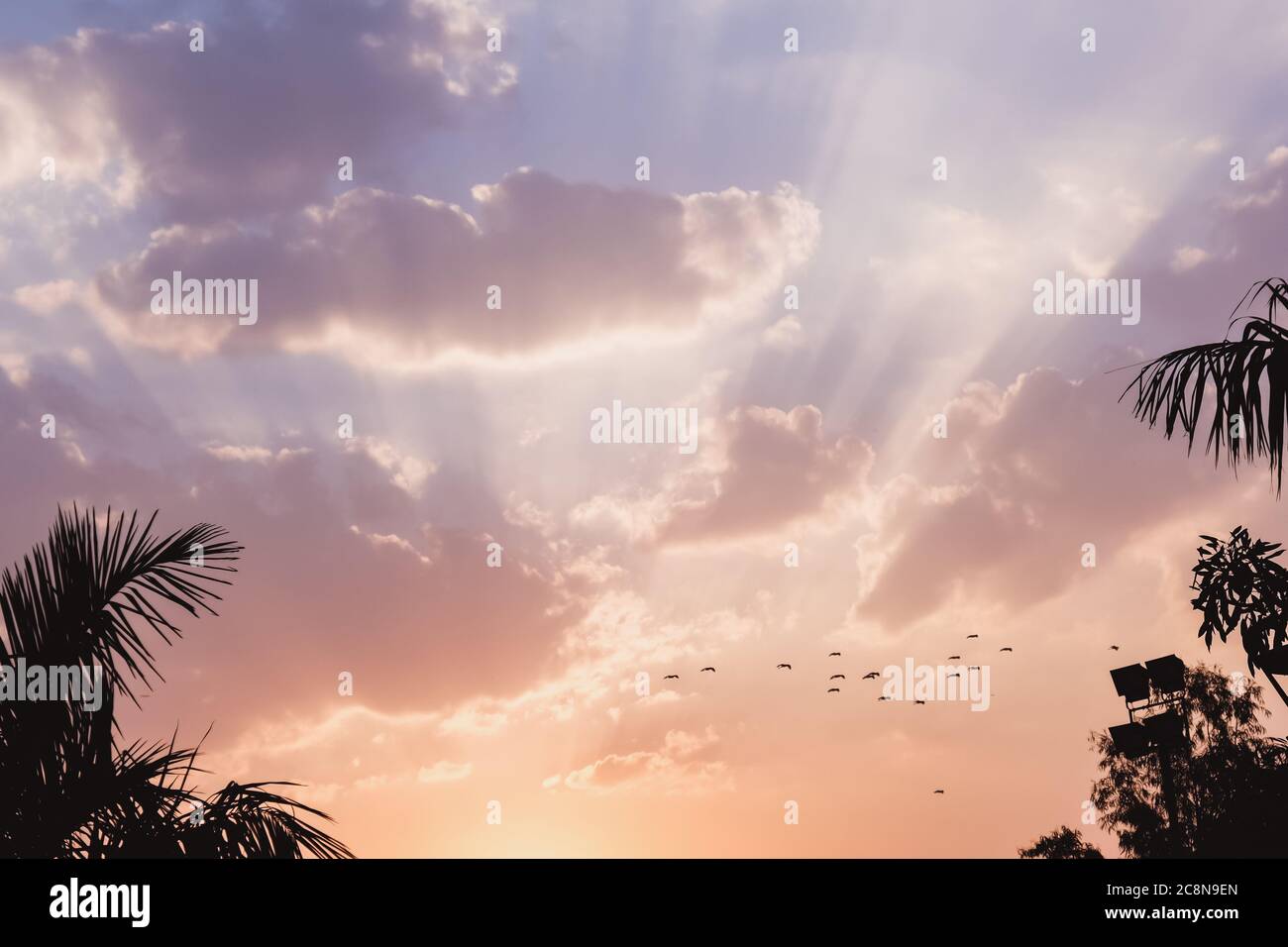 Rays of light pass through clouds on a blue and pink sky at sunset ...