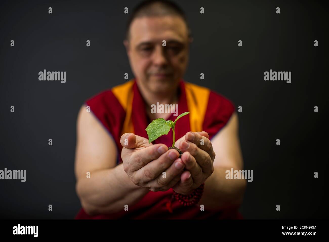 The monk holds the plant in his hand. Ecology concept and care for ...