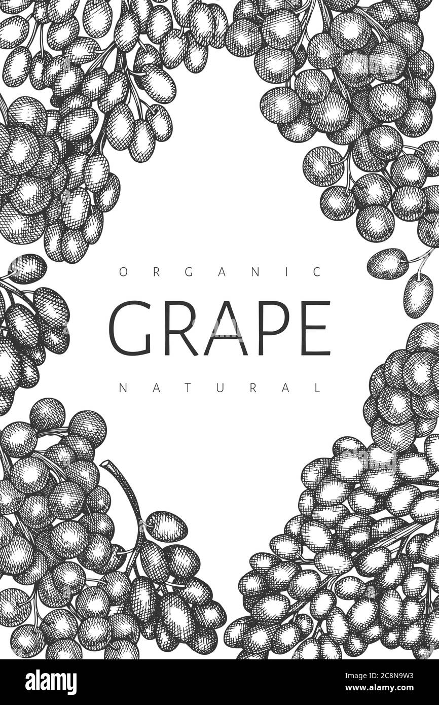 Grape design template. Hand drawn vector grape berry illustration ...