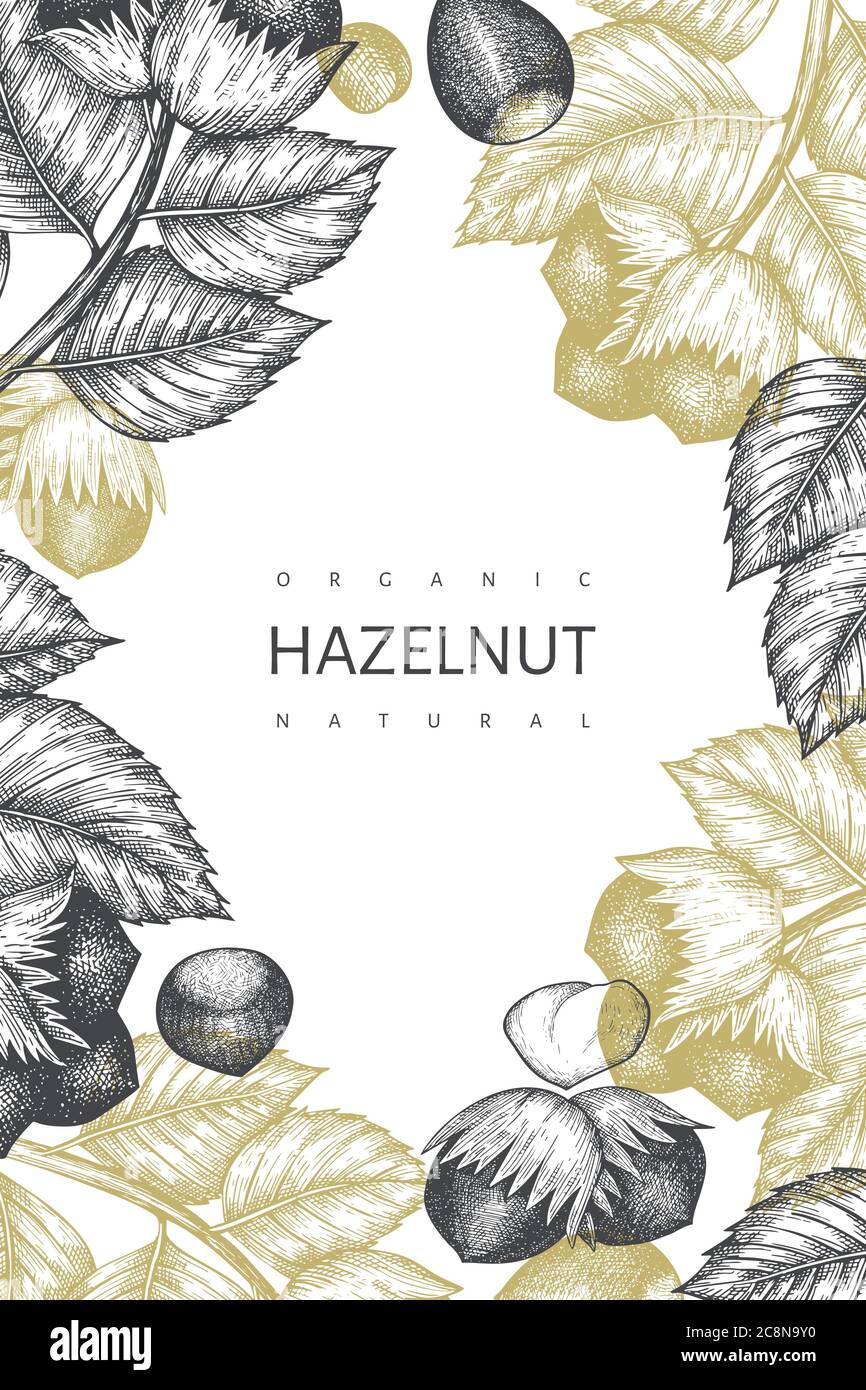 Hand drawn sketch hazelnut design template. Organic food vector ...
