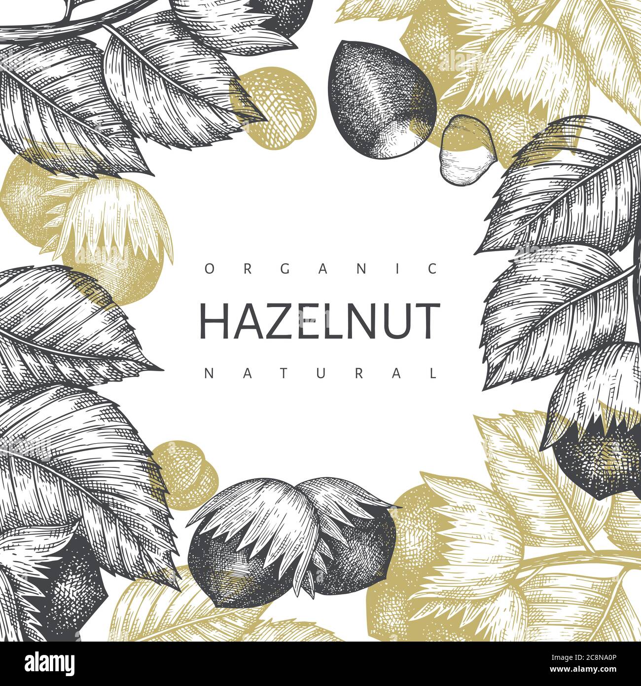 Hand drawn sketch hazelnut design template. Organic food vector ...